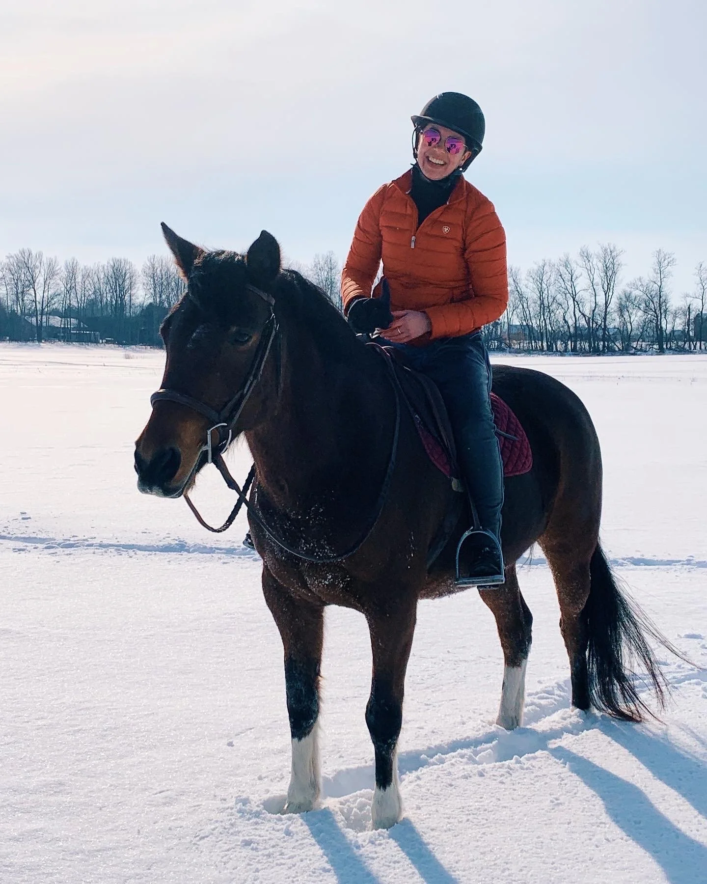 Edenview Equestrian Centre