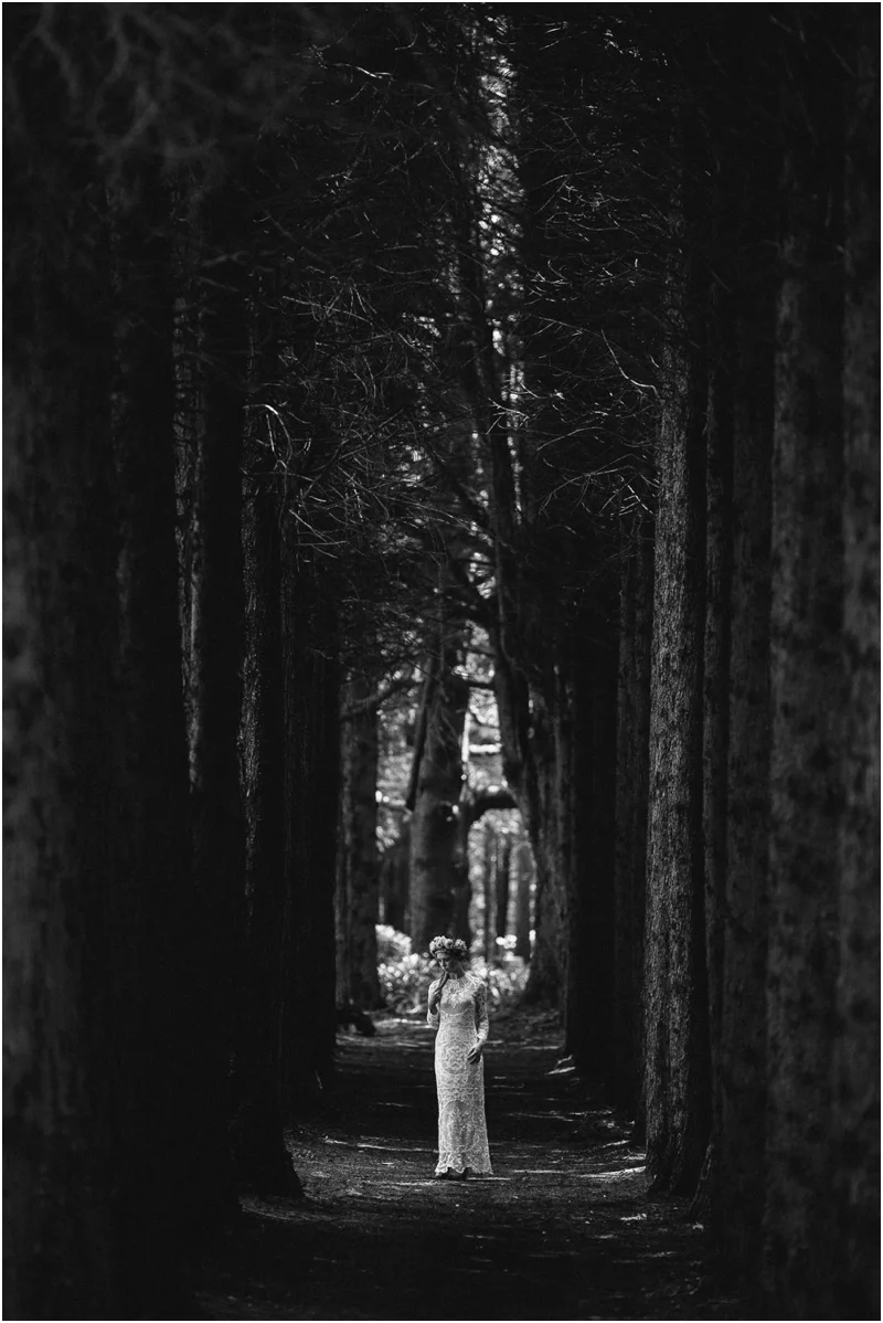 Weddings — Blog — Tim Williams Photography | Weddings and Lifestyle ...