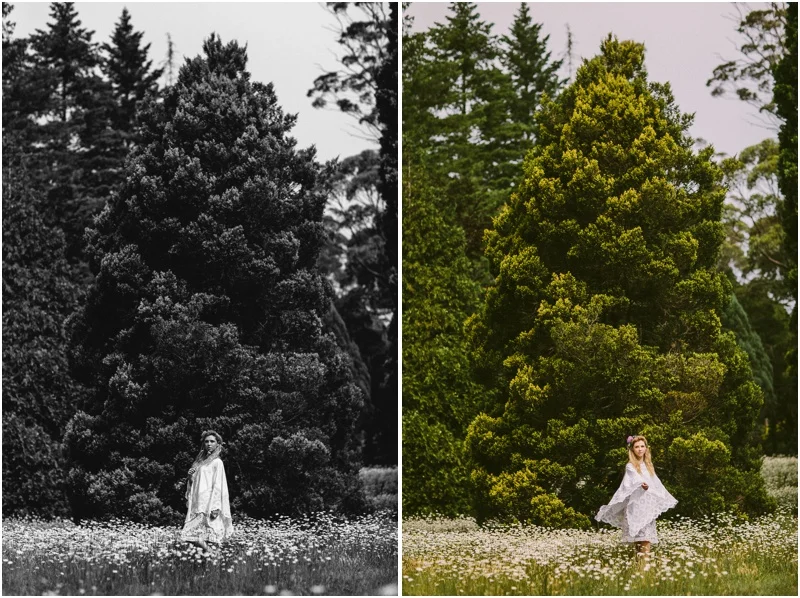 Weddings — Blog — Tim Williams Photography | Weddings and Lifestyle ...