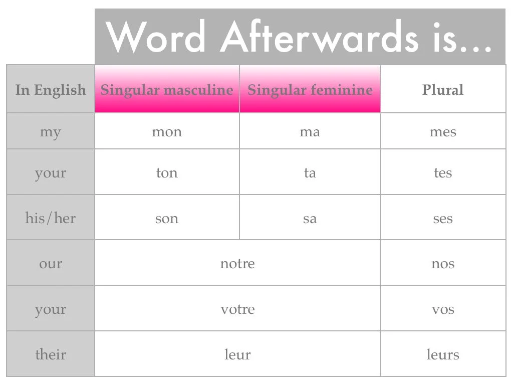 French for Beginners: The Possessives by Fluent Language