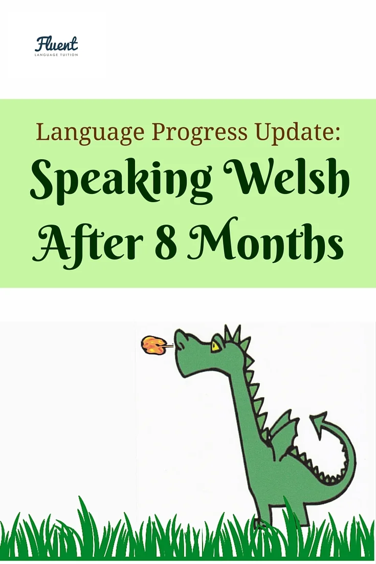 Language Update: Speaking Welsh After 8 Months (+ Free Toolkit) by ...