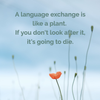 Language Exchange Tips for Fun and Effective Conversations by Fluent ...