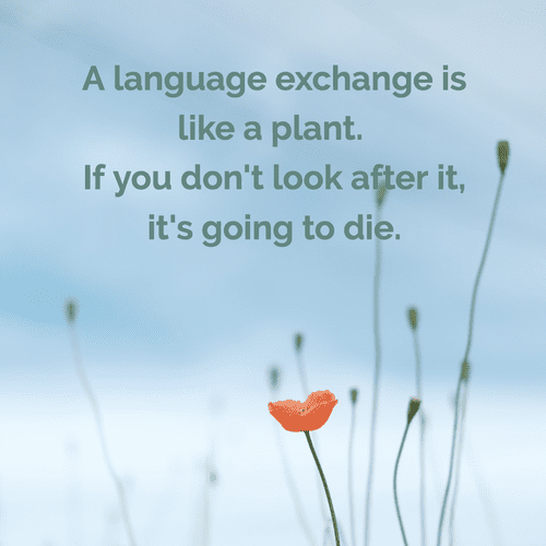 Language Exchange Tips for Fun and Effective Conversations by Fluent ...
