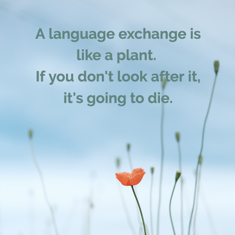 Language Exchange Tips for Fun and Effective Conversations by Fluent ...