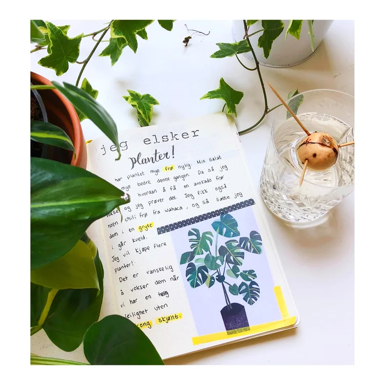 Master Language Learning: The Benefits of Keeping a Language Learning ...