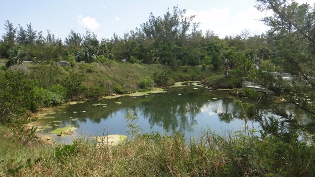 Saltwater Ponds — The Department of Environment and Natural Resources