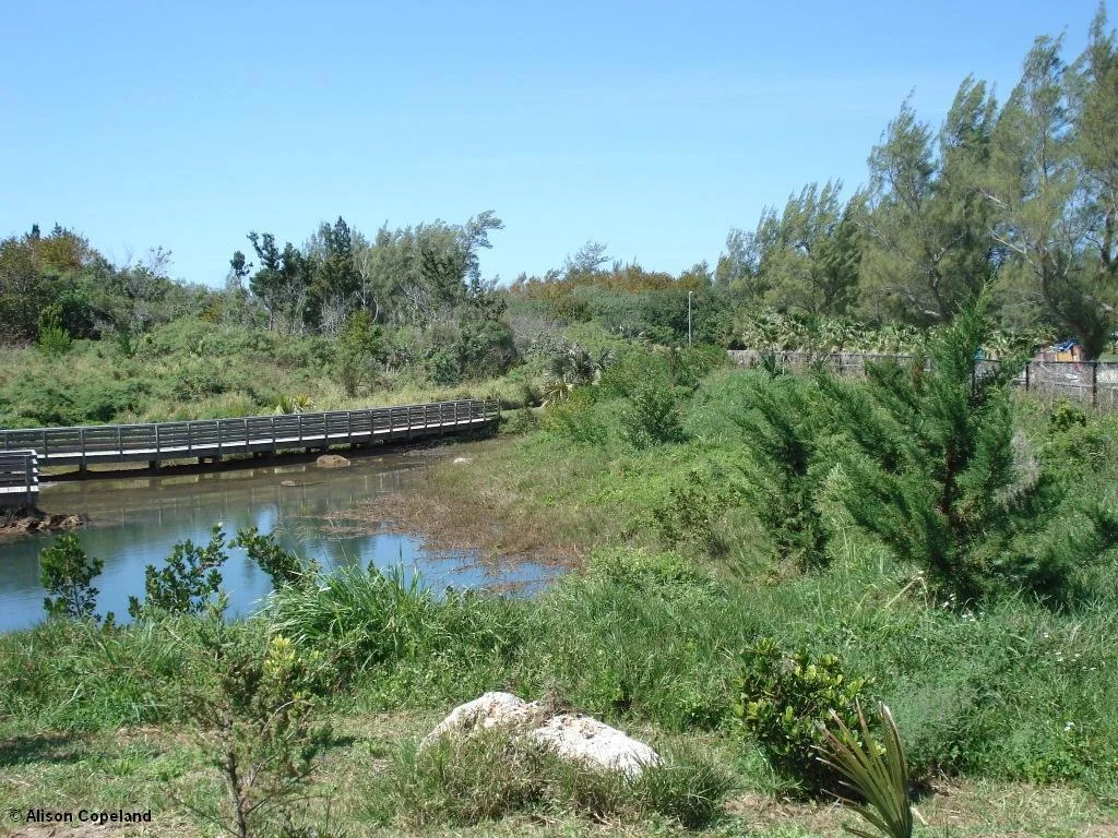 Saltwater Ponds — The Department of Environment and Natural Resources