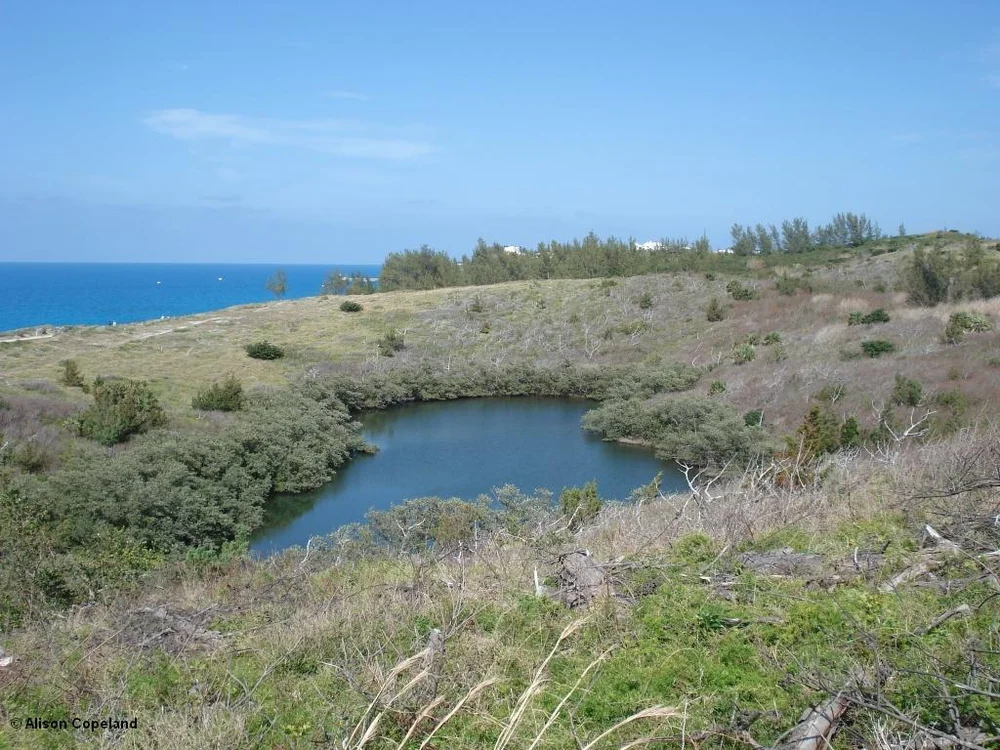 Saltwater Ponds — The Department of Environment and Natural Resources
