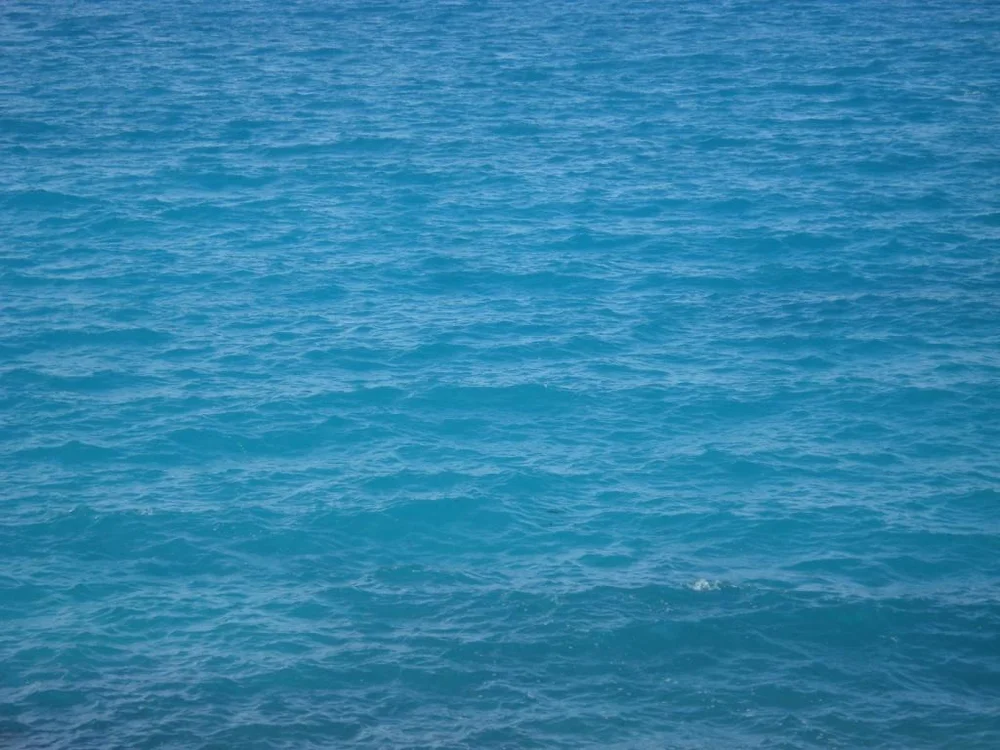Open Ocean — The Department of Environment and Natural Resources