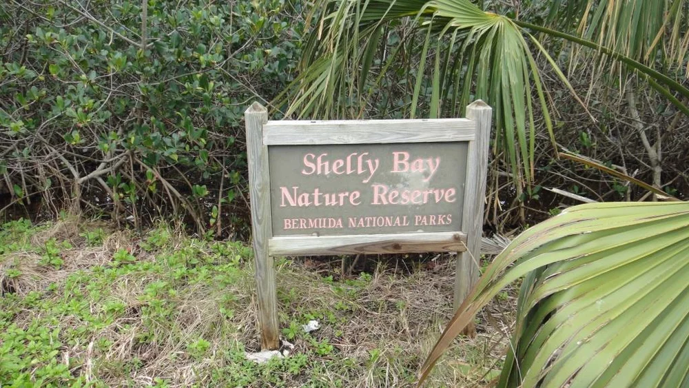 Shelly Bay — The Department of Environment and Natural Resources