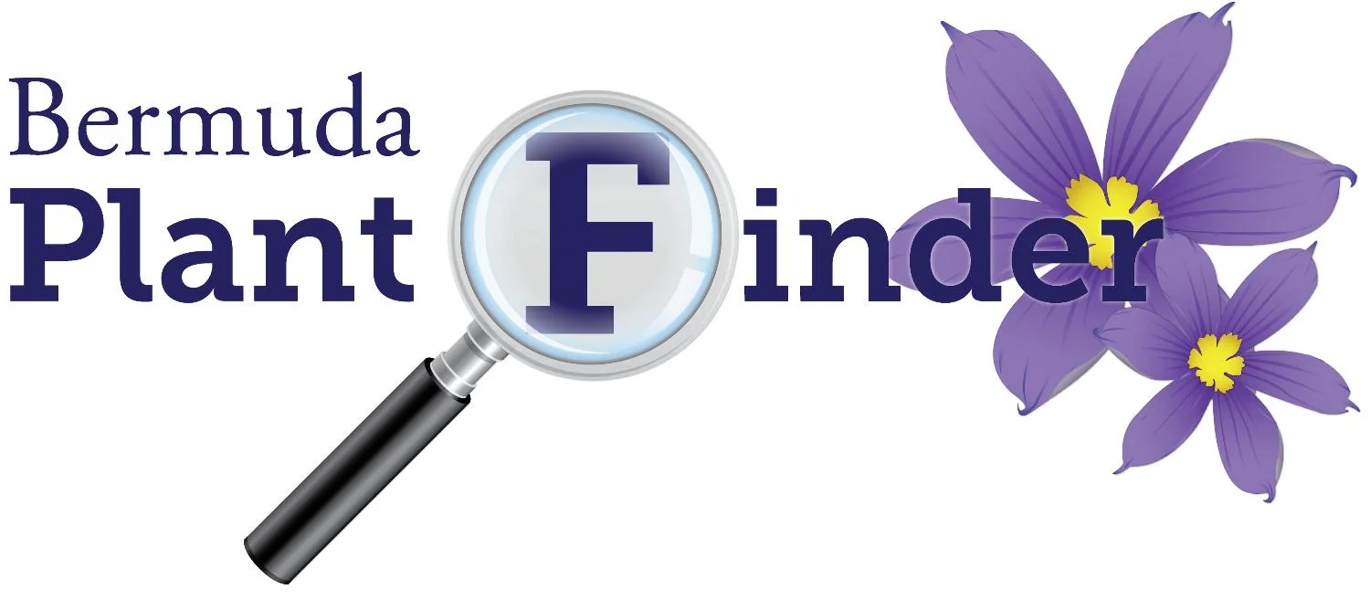 Plant Finder — The Department of Environment and Natural Resources