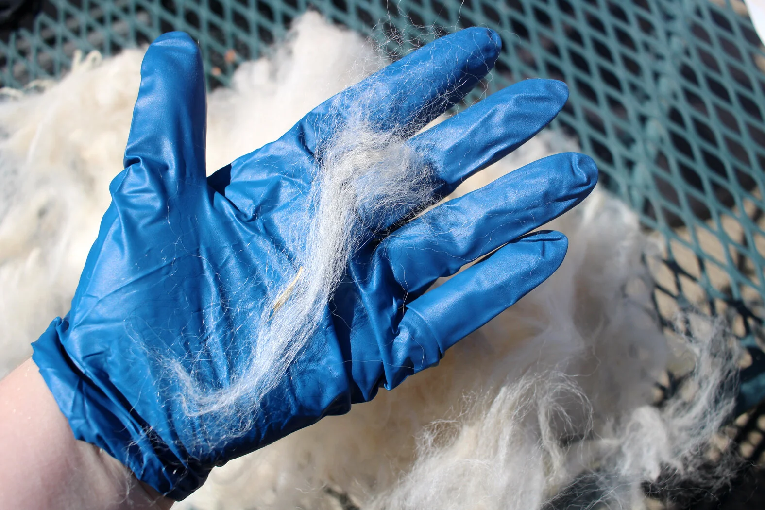 Time For Some Wooly Spring Cleaning — With Wool