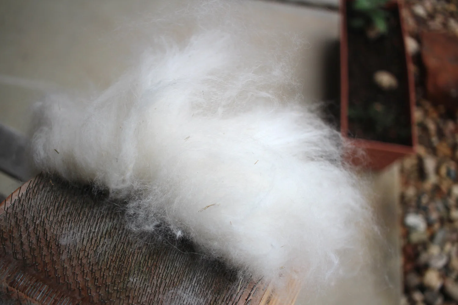 Time For Some Wooly Spring Cleaning — With Wool