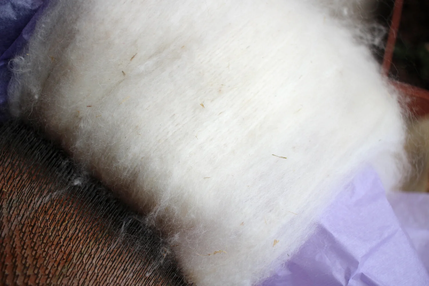 Time For Some Wooly Spring Cleaning — With Wool