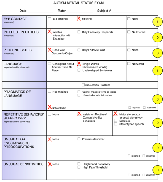 Mental Status Exam Template Word