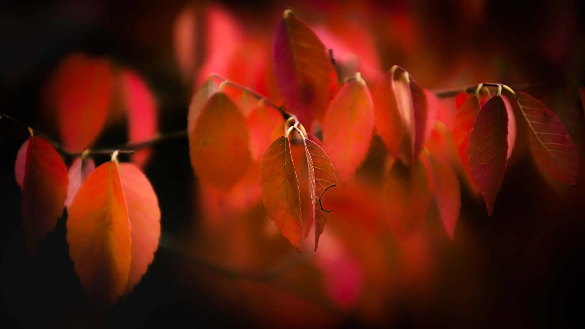 Alan Ranger - UK Photography Workshops and Courses