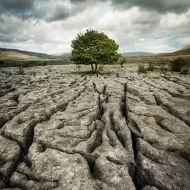 Alan Ranger - UK Photography Workshops and Courses