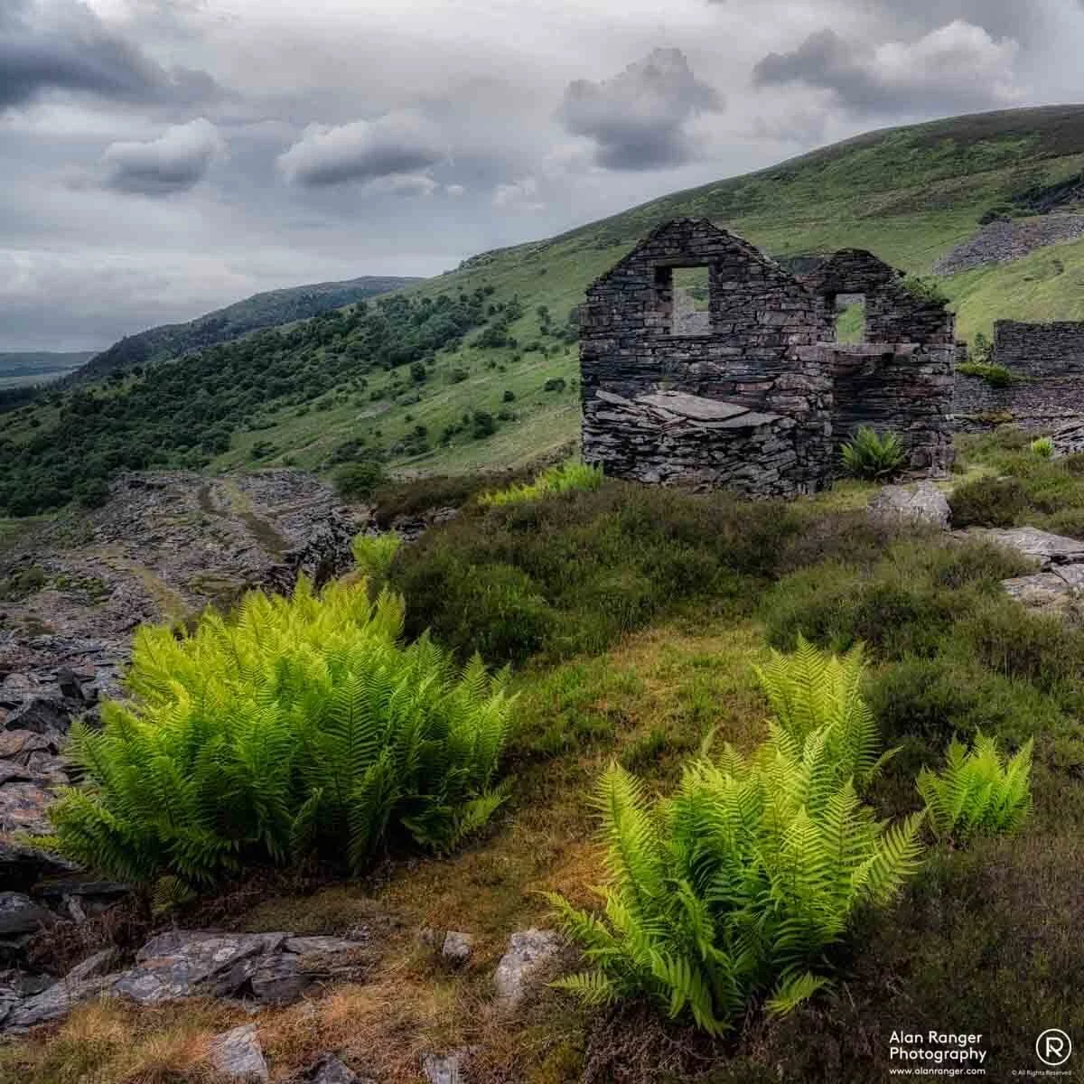 Alan Ranger - UK Photography Workshops and Courses