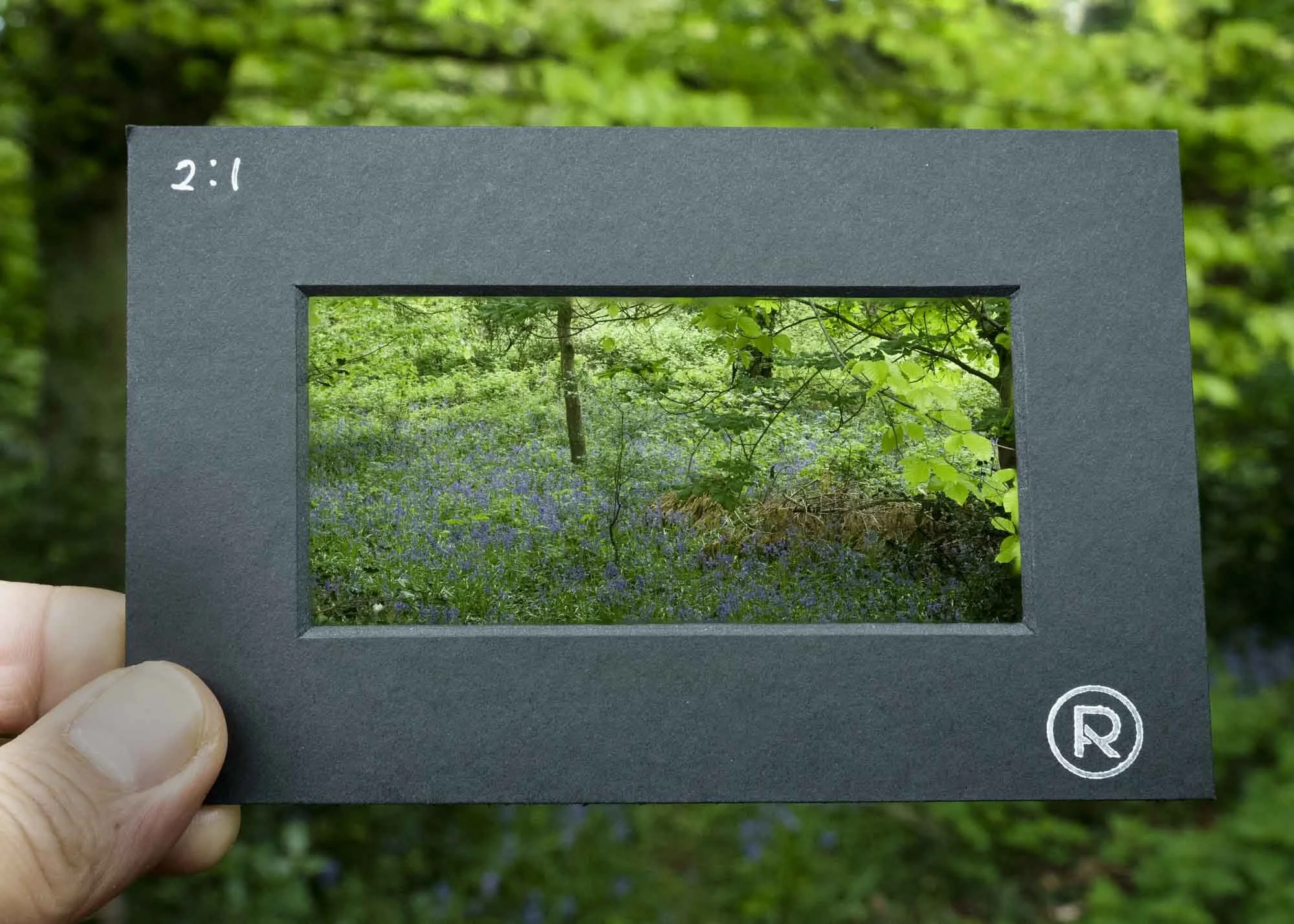 Photographers Composition Viewing Frame | Helps you compose