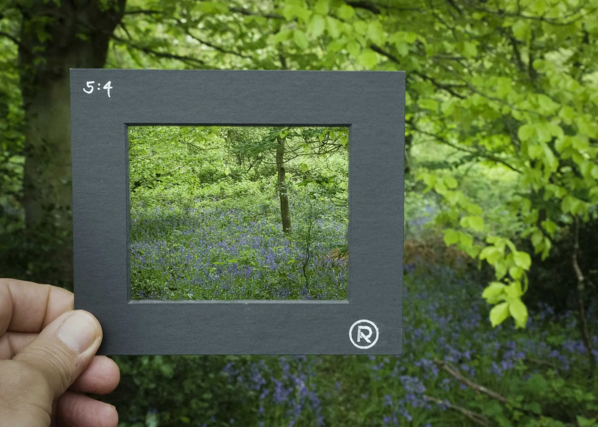 Photography Composition Viewing Frames