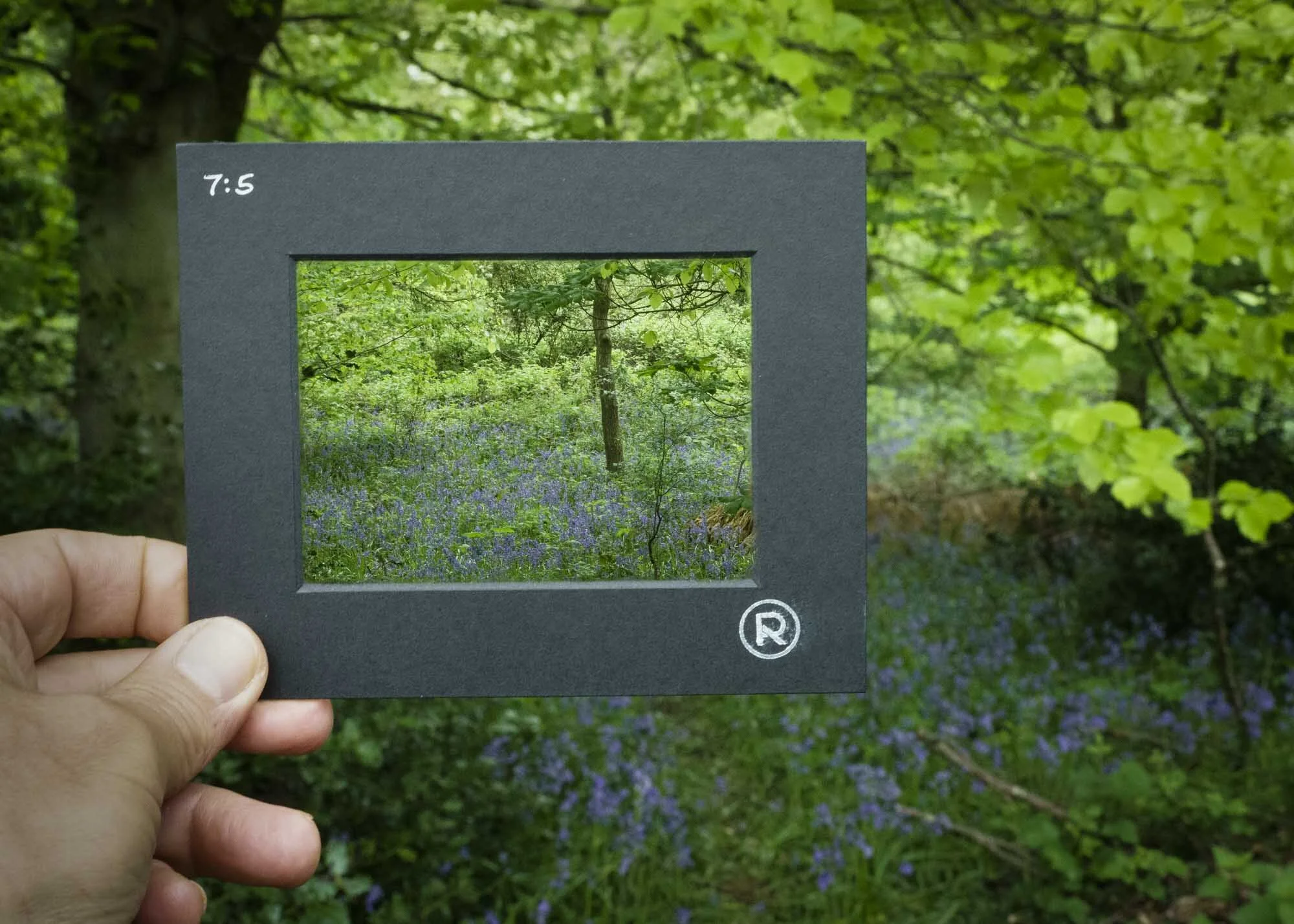 Photography Composition Viewing Frames