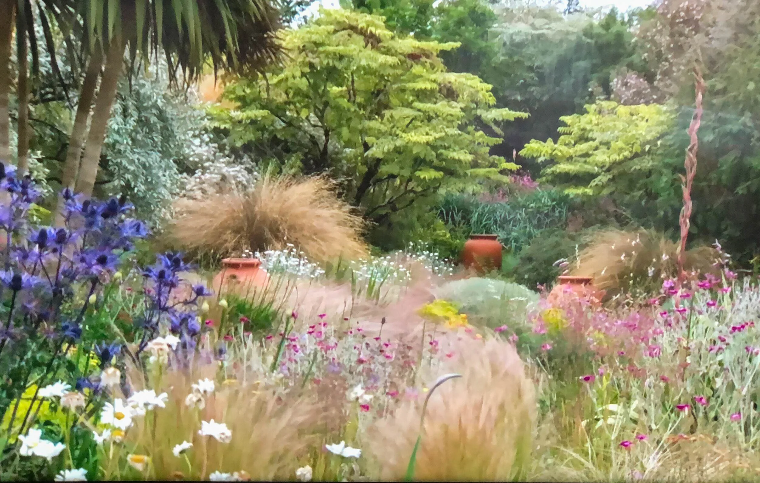 Alan Ranger - UK Photography Workshops and Courses