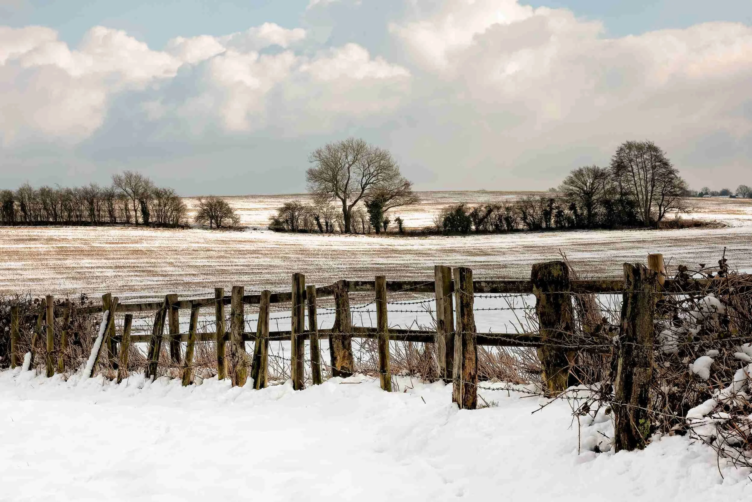 Alan Ranger - UK Photography Workshops and Courses