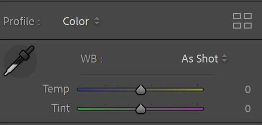11 What is WHITE BALANCE in photography: A Beginners Guide