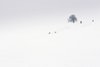 What is NEGATIVE SPACE in photography: A Guide for Beginners