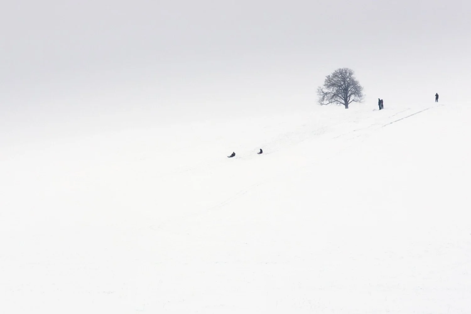 What is NEGATIVE SPACE in photography: A Guide for Beginners