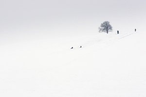 What is NEGATIVE SPACE in photography: A Guide for Beginners