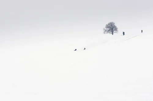 What is NEGATIVE SPACE in photography: A Guide for Beginners