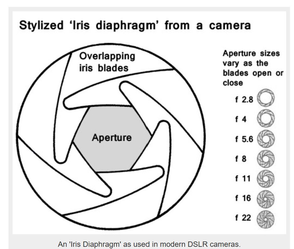 02 What is APERTURE in photography: A Guide for Beginners