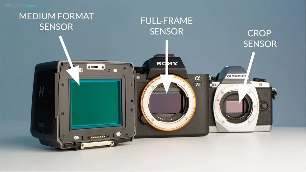 14 FULL FRAME VS CROPPED SENSOR: Which One reigns Supreme?
