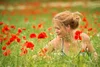02 What is APERTURE in photography: A Guide for Beginners