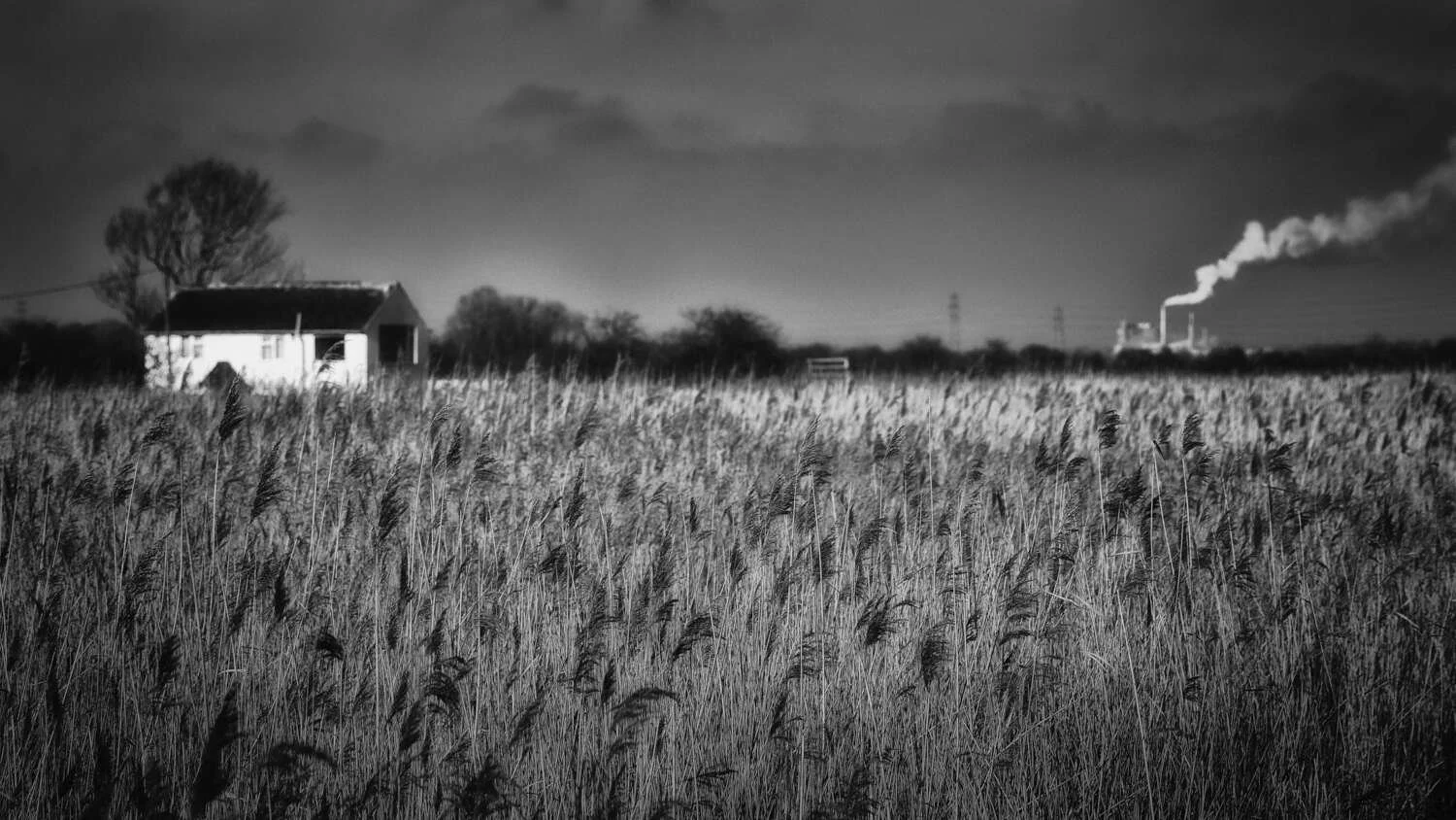 What Is NEGATIVE SPACE In Photography A Guide For Beginners