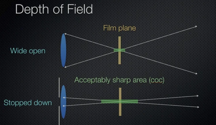 08 What is FOCUS in Photography: Key Concepts Explained
