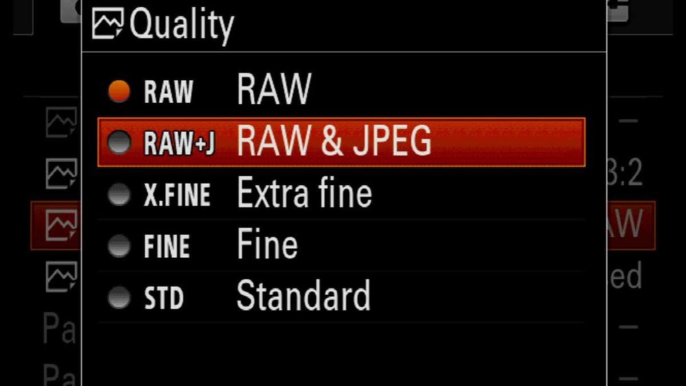 13 JPEG vs RAW: The Key Differences: A Guide for Beginners