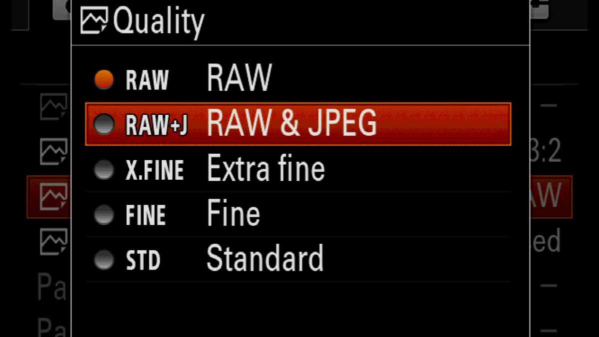 13 JPEG vs RAW: The Key Differences: A Guide for Beginners