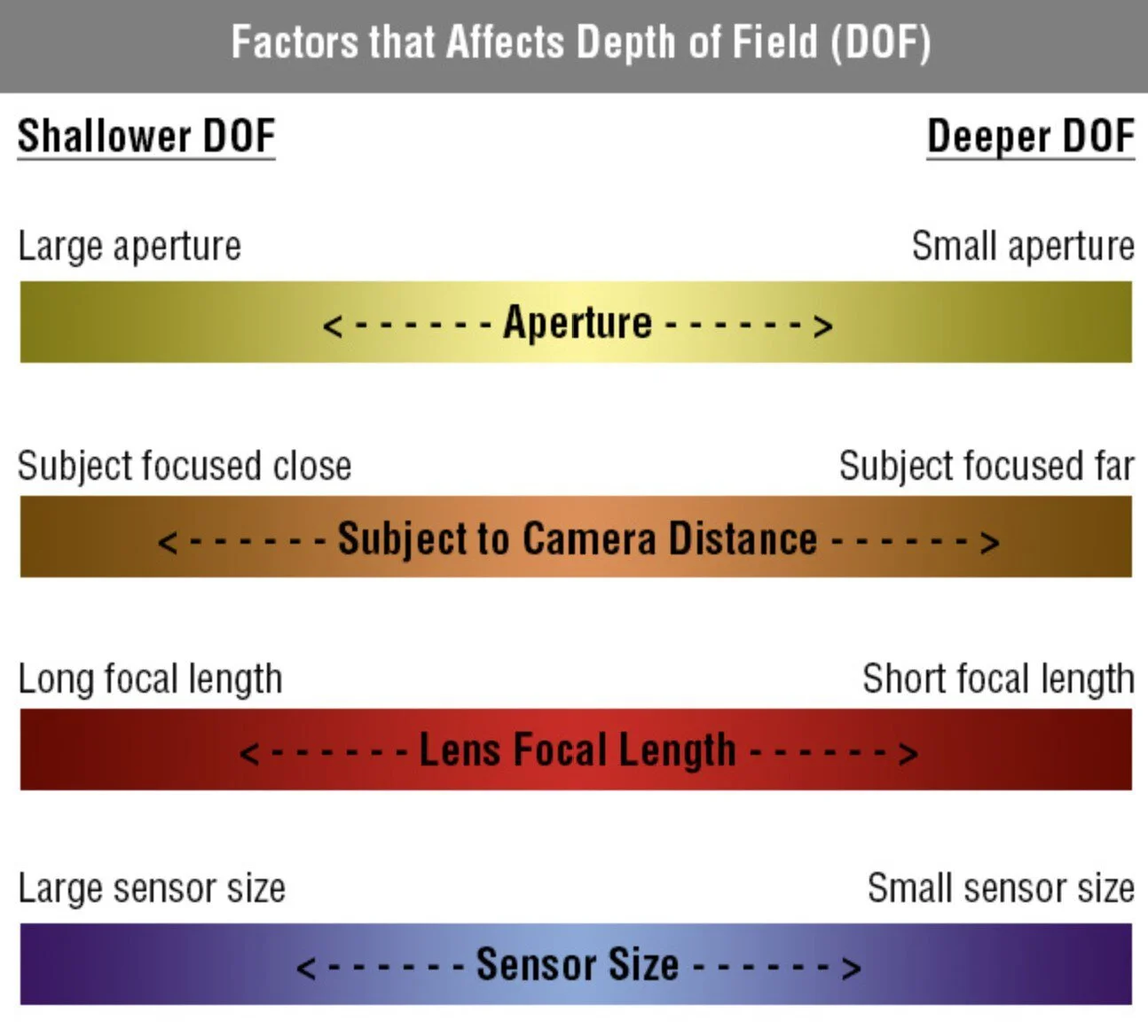 09 What is DEPTH OF FIELD in Photography: A Beginners Guide