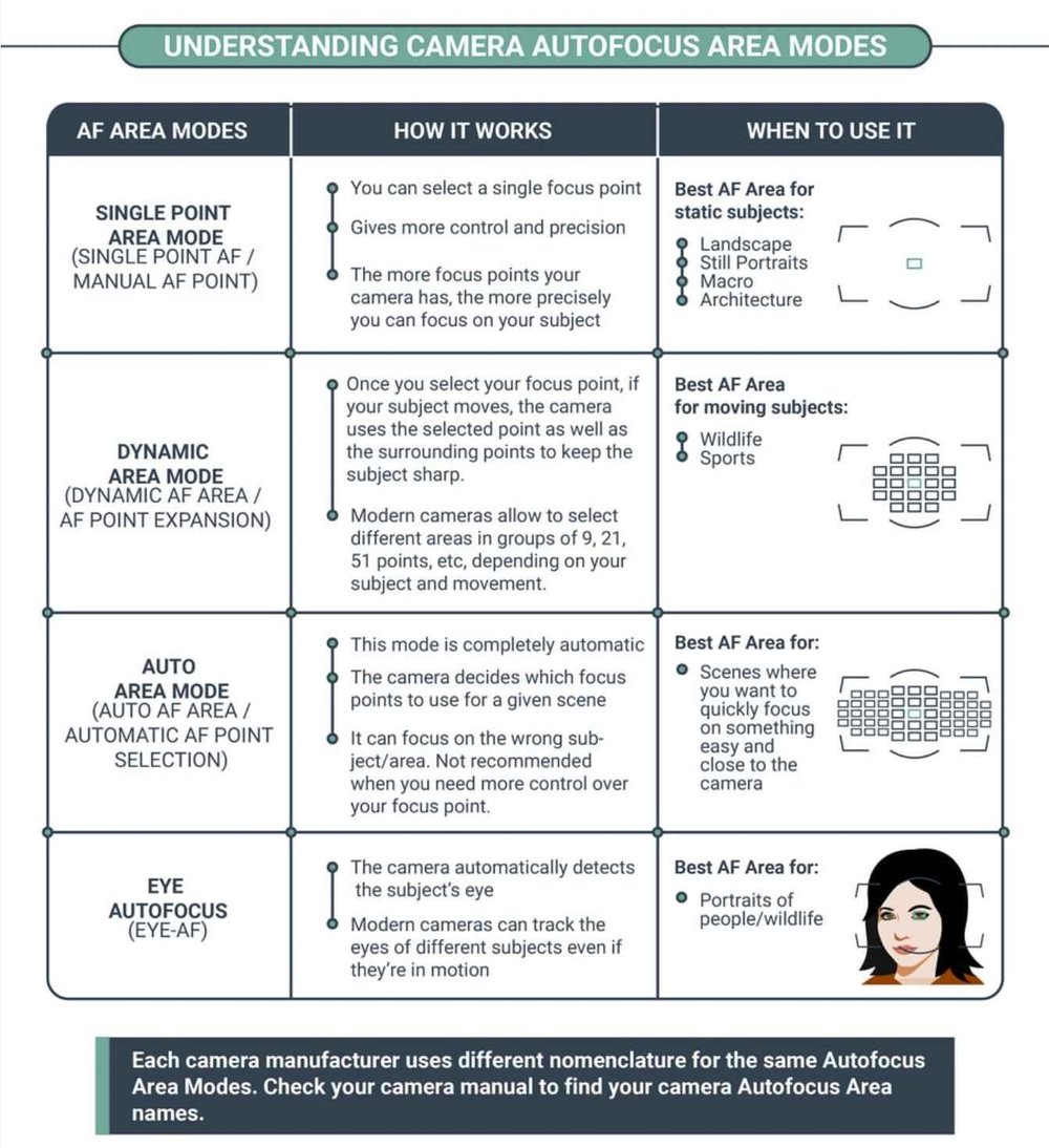 08 What is FOCUS in Photography: Key Concepts Explained