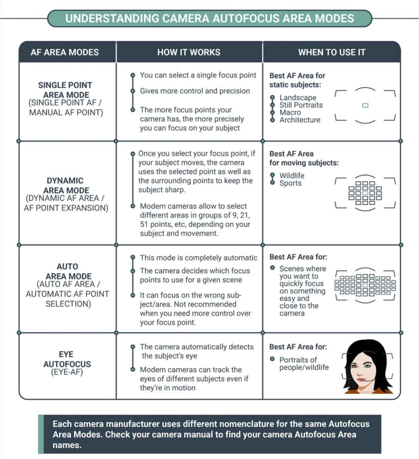 08 What is FOCUS in Photography: Key Concepts Explained