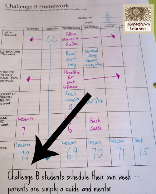 Homeschooling an 8th Grader: An Honest Look at Challenge B — Homegrown ...