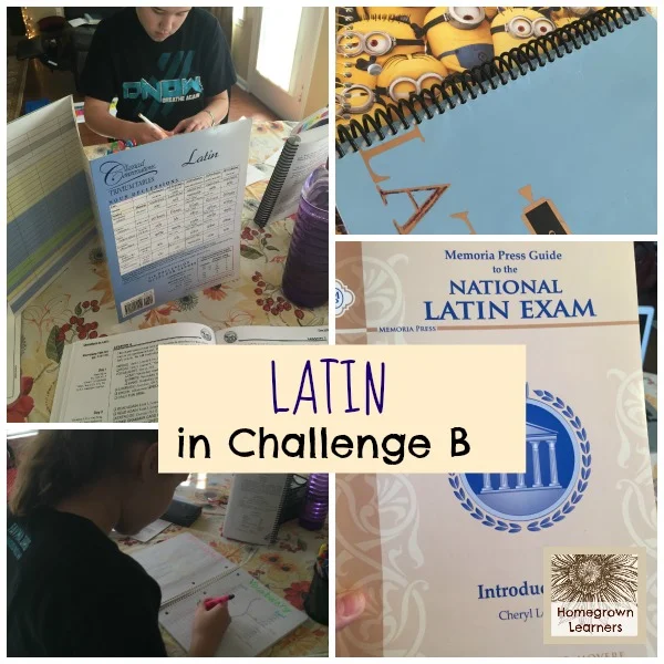 Homeschooling an 8th Grader: An Honest Look at Challenge B — Homegrown ...