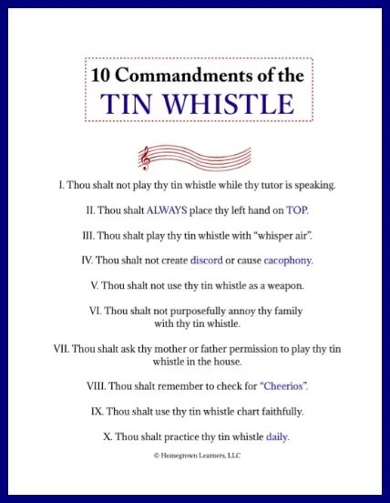 Tin Whistle Teaching Tips — Homegrown Learners