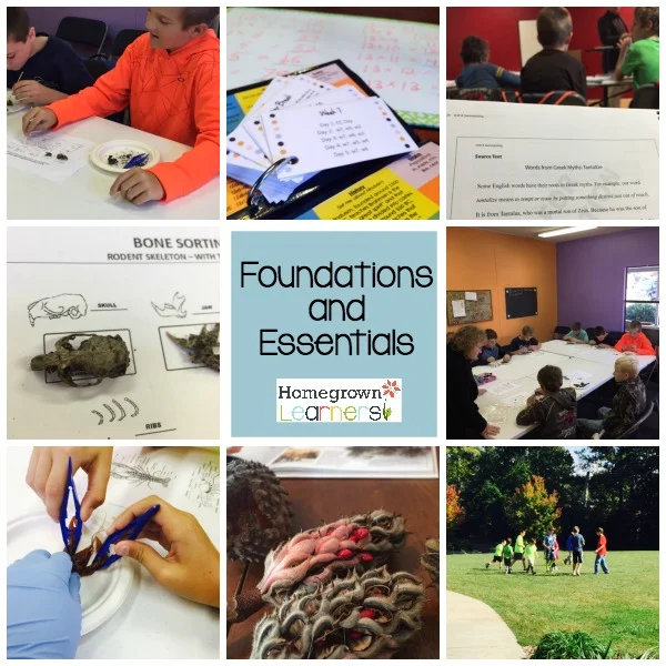 10 Reasons We Homeschool With Classical Conversations — Homegrown Learners