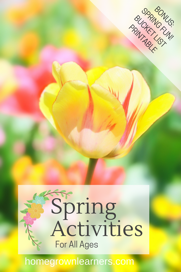 Spring Fun! Activities for All Ages — Homegrown Learners