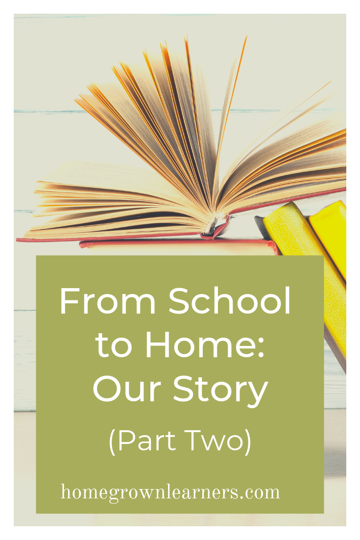From School to Home: Our Story (Part Two) — Homegrown Learners