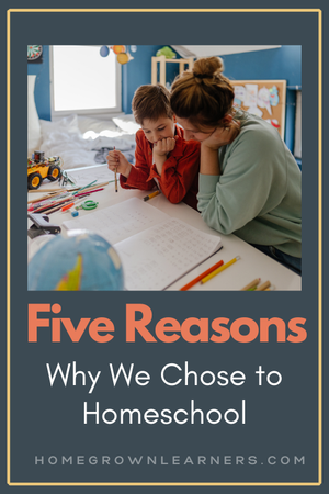 5 Reasons Why We Chose to Homeschool — Homegrown Learners