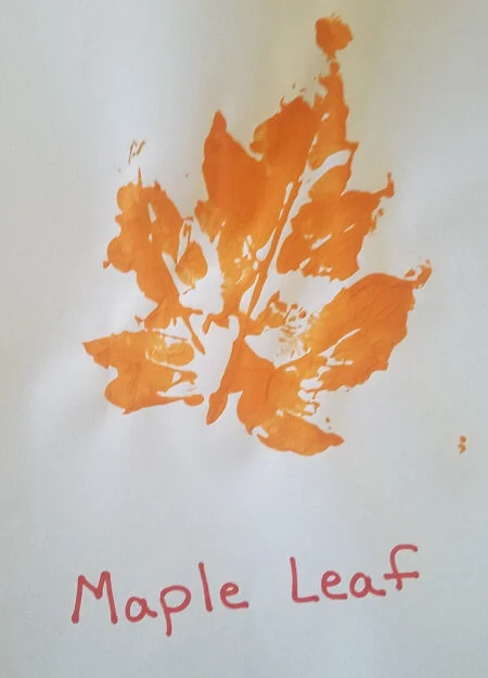 Creating a Fall Leaf Collection For All Ages — Homegrown Learners